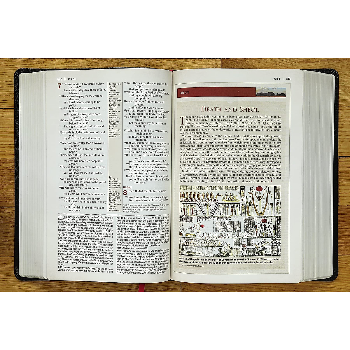 NIV, Cultural Backgrounds Study Bible (Context Changes Everything), Bonded Leather, Black, Red Letter: Bringing to Life the Ancient World of Scripture
