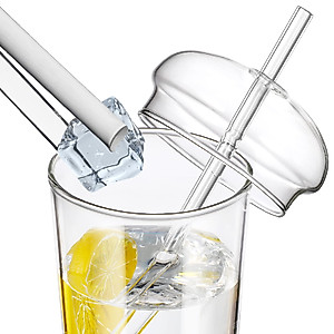 DOITOOL Clear Glass Tumbler with Straw and Lid, 15OZ Clear Iced Coffee Cups with Lids and Straw for Iced Coffee, Cold Drinks, Juices Drinking for Home Outdoor Travel Party