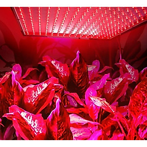 HQRP 660 nm 14W 225 LED Pure Red Grow Light Panel for Growing Flowers Orchids, Bonsai, Hibiscus, Saffrons + Hanging Kit