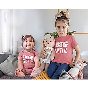 Unordinary Toddler Big Sister Little Sister Matching Outfits Shirt Gifts Girls Newborn Baby Set (Mauve, Kid (3Y) / Baby (1-3M))
