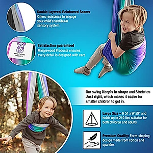 Sensory Swing + 360° Swivel Hanger, Double Layer Indoor + Outdoor Swing for Kids, Hanging Pod Chair, Helps with Sensory Disorders, Autism, ADHD, Anxiety, Therapy Swing, Pod Swing Chair