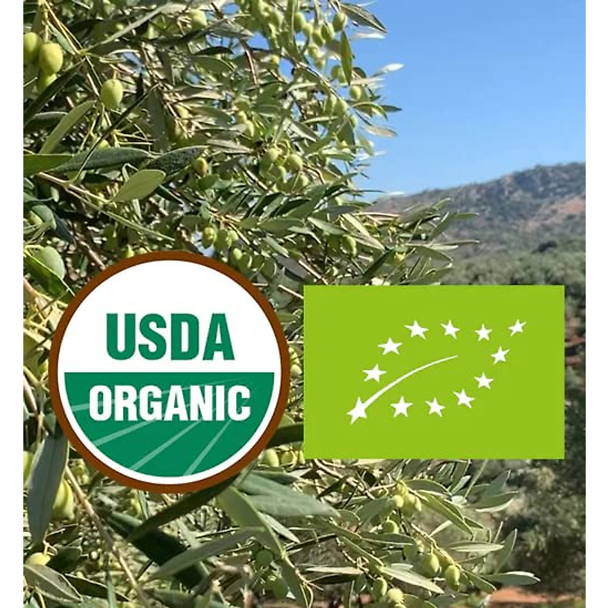 Spanish Organic Extra Virgin Olive Oil First Cold Pressed One Tin Can 33.8 Fl.Oz. (1L) Product of Spain