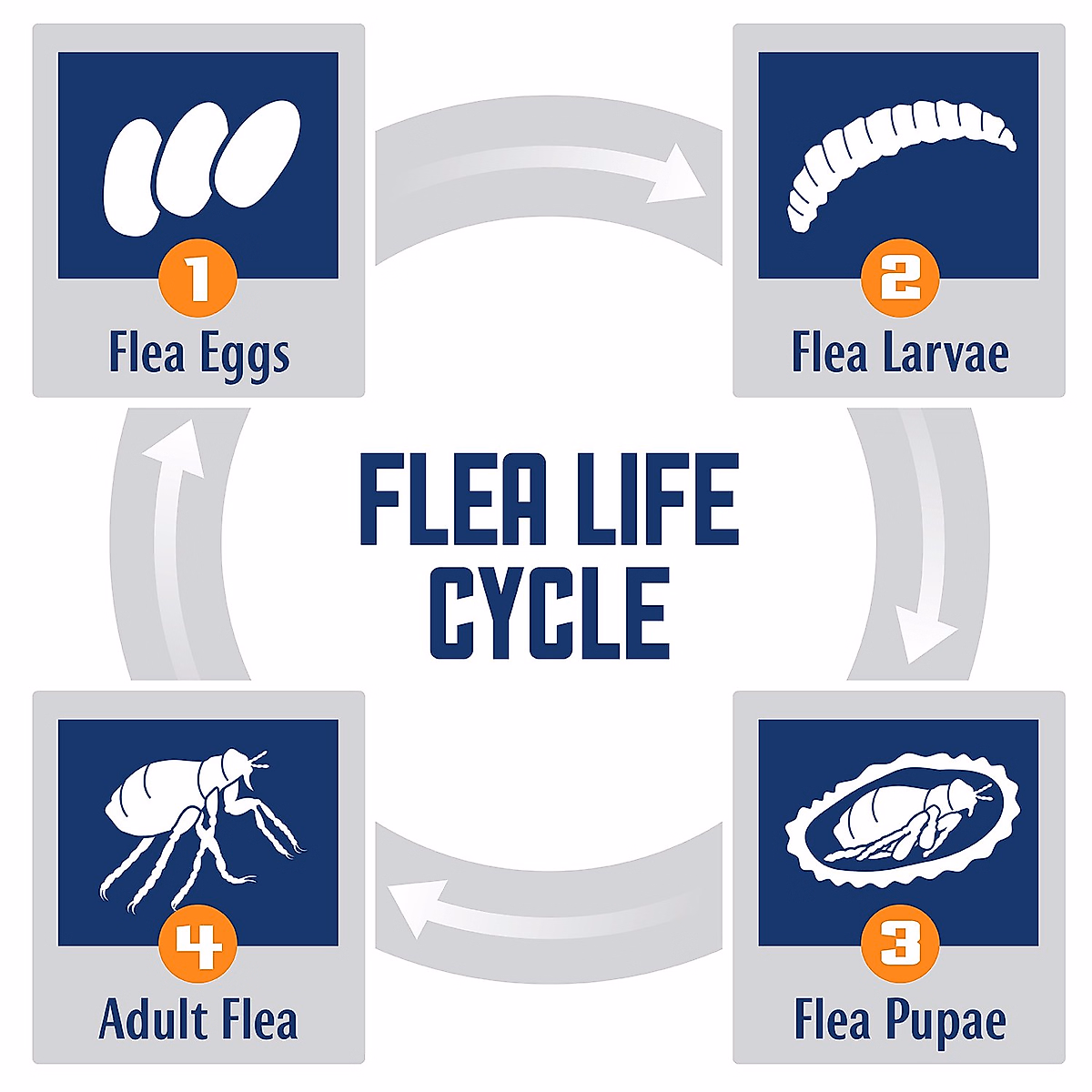 ProSense 7 Flea & Tick Prevention and Control for Dogs 5-10 lb - 3 Month Supply