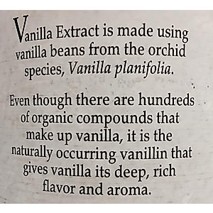 Kirkland Signature Pure Vanilla, 16 Ounce