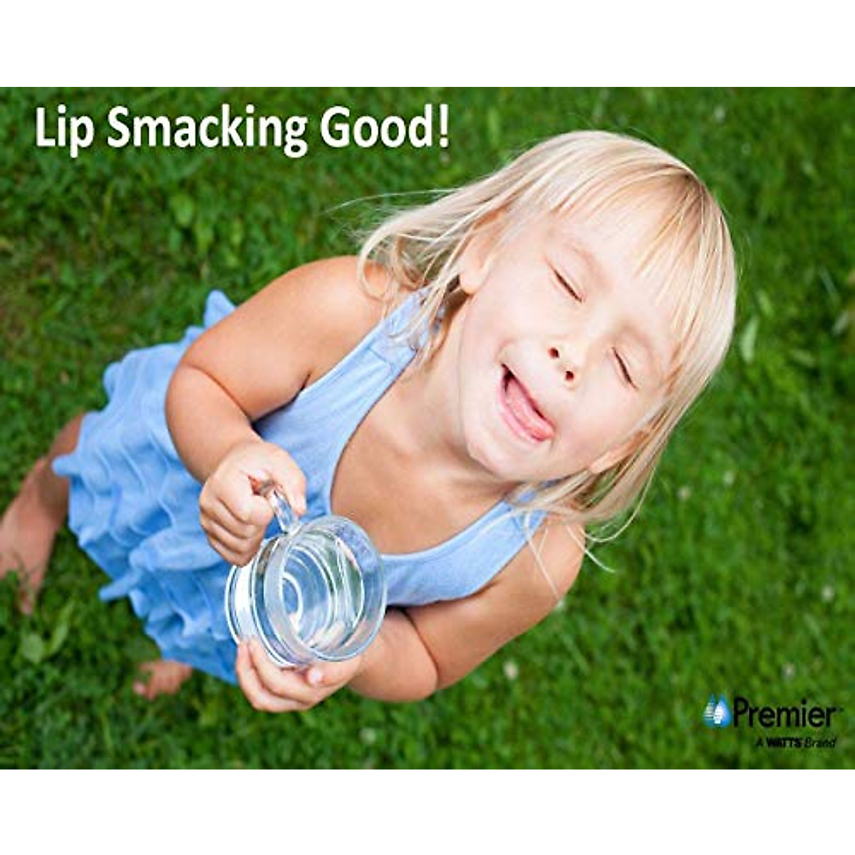 Watts Premier WP500032 5SV 5-Stage Reverse Osmosis System