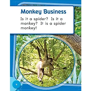Teacher Created Materials 27329 Amazing Animals: Spider Monkeys: Place Value (Amazing Animals: Mathematics Readers)