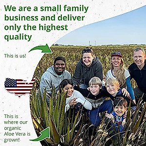 Organic Aloe Vera Gel from freshly cut 100% Pure Aloe - Big 12oz - HighestQuality, Texas grown, Vegan, Unscented - For Face, Skin, Hair, Sunburn relief