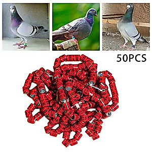 Fenteer 50x 2023 Pigeon Leg Rings Bird Foot Bands for Bantam Finch Canary, Red