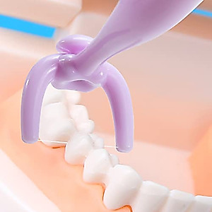 YaPoola Colorful Design Dental Floss Handle 3 Counts for Adults and Kids Teeth Cleaning Interdental Brush Unflavored Floss Picks floas Holder Reusable Flosser