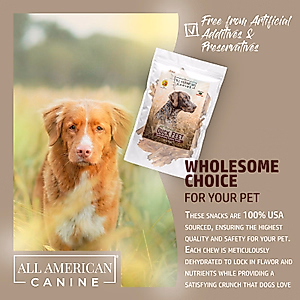 All American Canine Duck Feet Natural Single Ingredient Chewy Digestible Low-Fat Dehydrated Dog Treats for Training, Rewarding, Teeth Cleaning - 24 Treats