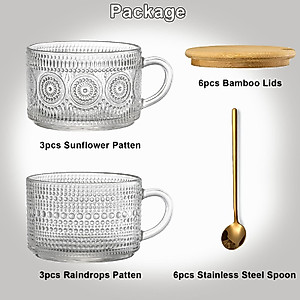 6 Set 14oz Vintage Glass Coffee Mugs with Bamboo Lids and Spoon Clear Embossed Glassware with Handle Glass Coffee Tea Cups for Cappuccino Latte Cereal Yogurt Beverage (6PCS(3*sunflower 3*raindrops))