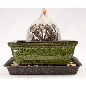 Calibonsai 6'' Rectangular Moss Green Shohin Bonsai Pot + Soil + Tray + Rock + Mesh Kit, Blue,green