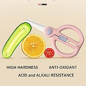 DAMPEN Ceramic Scissors for Baby Food,Portable Baby Food Scissors,Children Safety Food Cutter,with Blade Cover and Travel Case (PINK AND GREEN)