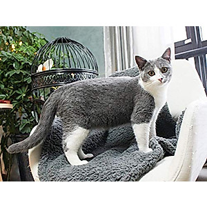 furrybaby Premium Fluffy Fleece Dog Blanket, Soft and Warm Pet Throw for Dogs & Cats (Small (24 * 32"), Grey Blanket)