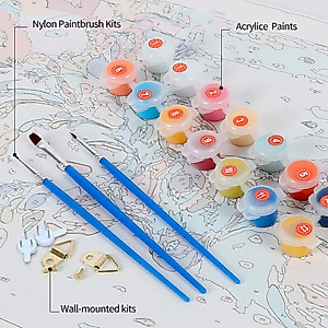 16x20" Common Loon Swimming Lake Waters Paint by Numbers Kits for Adults Kids DIY Wall Art Picture Framed Canvas Oil Painting Set Digital Paintworks for Beginners