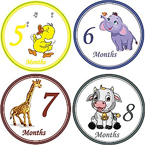 Baby Monthly Stickers 28 - First Year Stickers for Infant - Belly Stickers Boy Girl - Mount to Mount Birthday and all Hollidays - 4 inch diameter