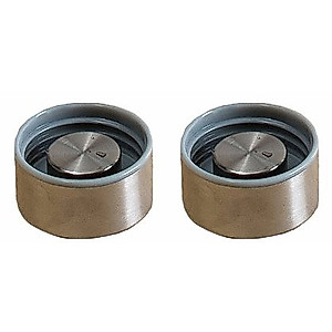 Brieftons Glass Bottles's Lids, Pack of 2 Stainless Steel Caps