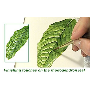 Susan Harrison-Tustain's Watercolor Masterclass Volume One. Life-like leaves, vibrant greens and 5 crucial elements for a successful painting.