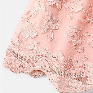 Care Bears Baby Girl Cotton Short-Sleeve Bear Print Spliced Embroidered Mesh Dress incarnadinepink 3-6 Months