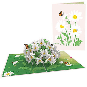 UNIPOP Daisy Pop Up Card, Birthday Card for Daughter, Flower Pop Up Card, Daisy Birthday Card, Birthday Card for Wife, Daisy Greeting Card