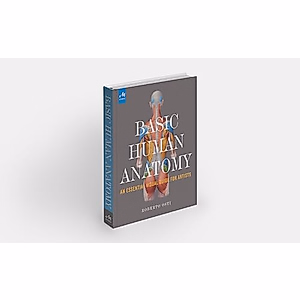 Basic Human Anatomy: An Essential Visual Guide for Artists