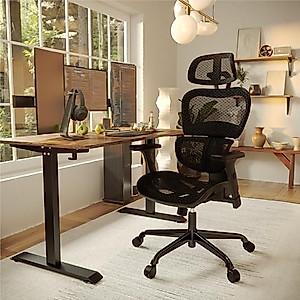 SUNNOW Ergonomic Mesh Chair with 3D Lumbar Support, Adjustable Headrest & Sliding Armrest, Swivel Executive Computer High Gaming Chairs for Home Office Work