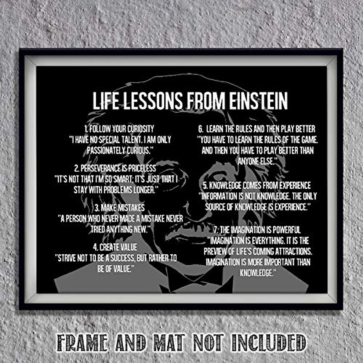 Einstein Quotes Wall Art-"Logical Life Lessons"- 8 x 10" Art Wall Print- Ready to Frame. Thinking Home Décor, Studio & Class Décor. Perfect Gift for Motivation & Inspiration with Einstein Image.