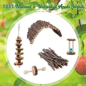 OUTFANDIA 13 Pack Hamster Wooden Chewing Toys, Wooden pet chew Toys, Molar Teeth Care Natural Apple Wood Exercise Balls & Wheels Bell Roller Climbing Toys for Hamsters and Small Rodents.