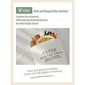 TANSHINE Scented Candle, Soy Wax Candles Aromatherapy Candles for Home Decoration, Scented Candles Gift for Mother Women Friends and Coworkers