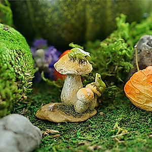 Top Collection Miniature Fairy Garden and Terrarium Mini Frogs on Mushrooms Statue