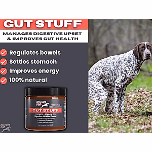 Gut Stuff by Helluva Dog — Digestive Aid Meal Topper for Active Sporting Dogs — Pumpkin & Slippery Elm for Dog's Upset Stomach & Better Gut Health, Packed with Fiber - 3oz