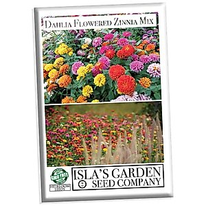Dahlia Flowered Zinnia Mix Flower Seeds for Planting, 500+ Heirloom Flower Seeds Per Packet, (Isla's Garden Seeds), Non GMO Seeds, Scientific Name: Zinnia elegans, Great Home Garden Gift