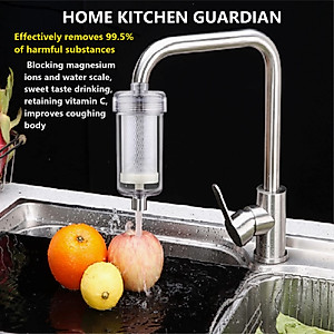 ZHYUUAX 1 Micron Shower Filter, in line Water Filter, Washing Machine Filter System, Composite Carbon Cartridge Double Filtration, Removal of Chlorine and Fluoride-Improve Cough+2 pcs connectors