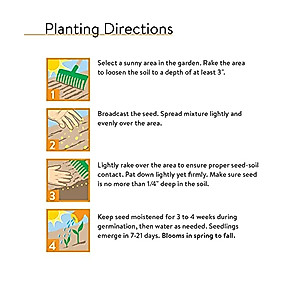 Burpee Wildflower Seed Mix for Pollinators