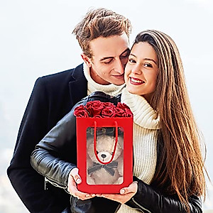 50 Pcs Paper Gift Bags with Transparent Window Clear Gift Bags Empty Gift Basket Flower Bag with Handles for Wedding Bridal Shower Thanksgiving Present Festival Party (Red, 10 x 7.1 x 5.1 Inch)