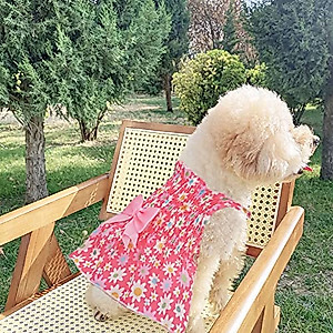 Albrost 4 PCs Dog Bow-Knot Floral Dress, Pet Princess Dresses for Small Girl Dog, Braces Suspender Skirt, Puppy Summer Sundress Doggy Outfit Dogs Cats Rabbits (Small)