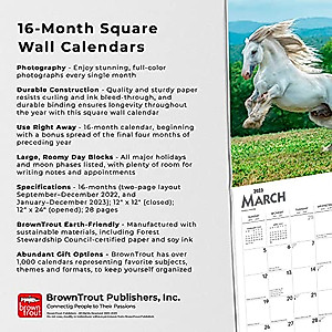 Horse Lovers | 2023 12 x 24 Inch Monthly Square Wall Calendar | Foil Stamped Cover | BrownTrout | Animals Equestrian