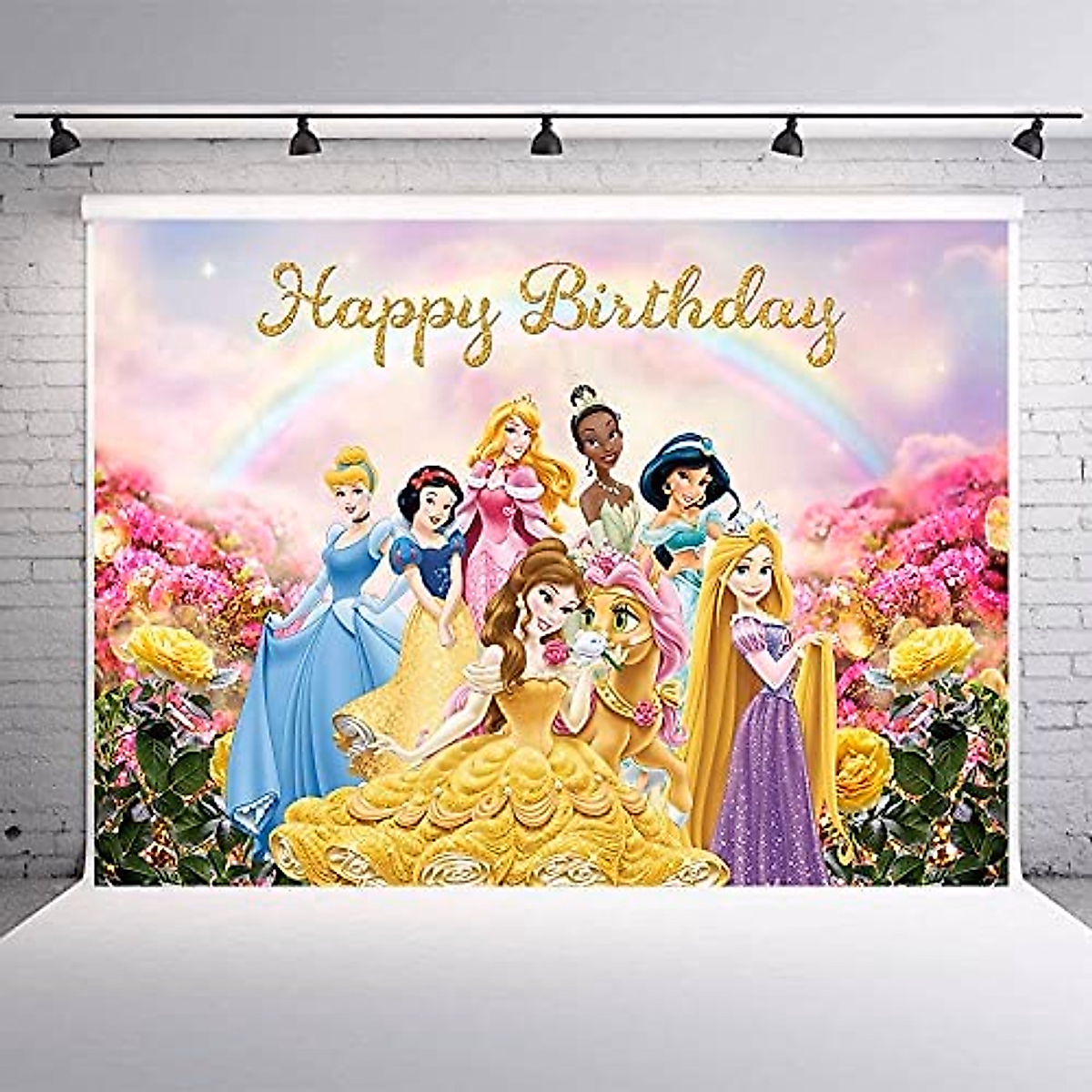 Princess Themed Backdrop Colorful Princess for Girl Photography Background Baby Shower Princess Birthday Background (7X5FT)