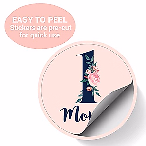 Baby Monthly Stickers | Floral Baby Milestone Stickers | Newborn Girl Stickers | Month Stickers for Baby Girl | Baby Girl Stickers | Newborn Monthly Milestone Stickers (Set of 24)