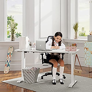Meilocar Height Adjustable Electric Standing Desk, Sit Stand Computer Desk with Memory Controller, Home Office Workstation Stand up Desk with Splice Board, 48" x 24" Tabletop (White Top + White Frame)