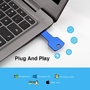 RAOYI 10 Pack 2GB USB Flash Drive USB 2.0 Metal Key Shape Memory Stick Thumb Drive Pen Drive-Blue