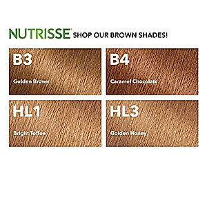 Garnier Nutrisse Ultra Color Nourishing Permanent Hair Color Cream, B4 Caramel Chocolate (1 Kit) Brown Hair Dye (Packaging May Vary)