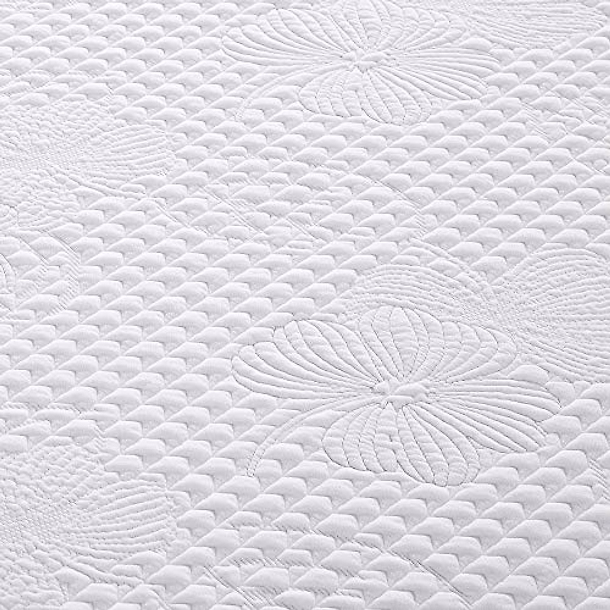 PrimaSleep 6 inch Smooth Top Foam Mattress Sleep Sets, Queen, White