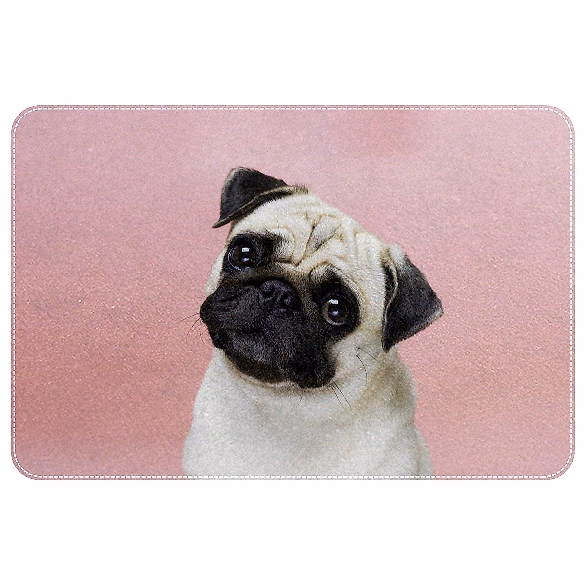Cute Pug and Puppy Dog Pink, Indoor Door Mat Durable Front Door Mats Entryway Rug Non-Slip Absorbent Area Rugs Resist Dirt Rugs for Room Decor, 24"x16"