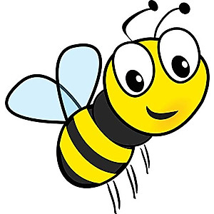 Prairie Melody(TM) Premium Black Oil Sunflower Bird Seed, Pesticide Free, 12-Pound Bag