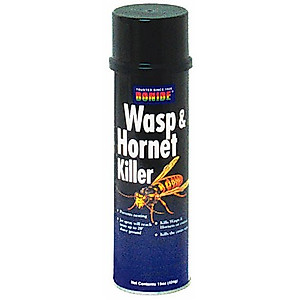 Bonide Wasp & Hornet Insect Killer 15 oz.
