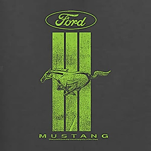 Green Striped Ford Mustang Cars and Trucks Womens Graphic T-Shirt, Charcoal, Medium