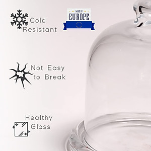 The Buybox Multipurpose Glass Container Avocado, Onion, Tomato, and Lemon Keeper Saver Holder Container, Fruit, Butter Citrus Mini Containers for Fridge, Pepper and Sold Cellar with Lid (Medium)