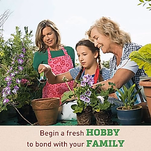 Garden Trends - Pea Seeds - Super Sugar Snap - Non-GMO Vegetable for Outdoor Planting Home Garden - Long Vines - Dark Green Pods - Flat, Sweet Berries - 0.5 Lbs