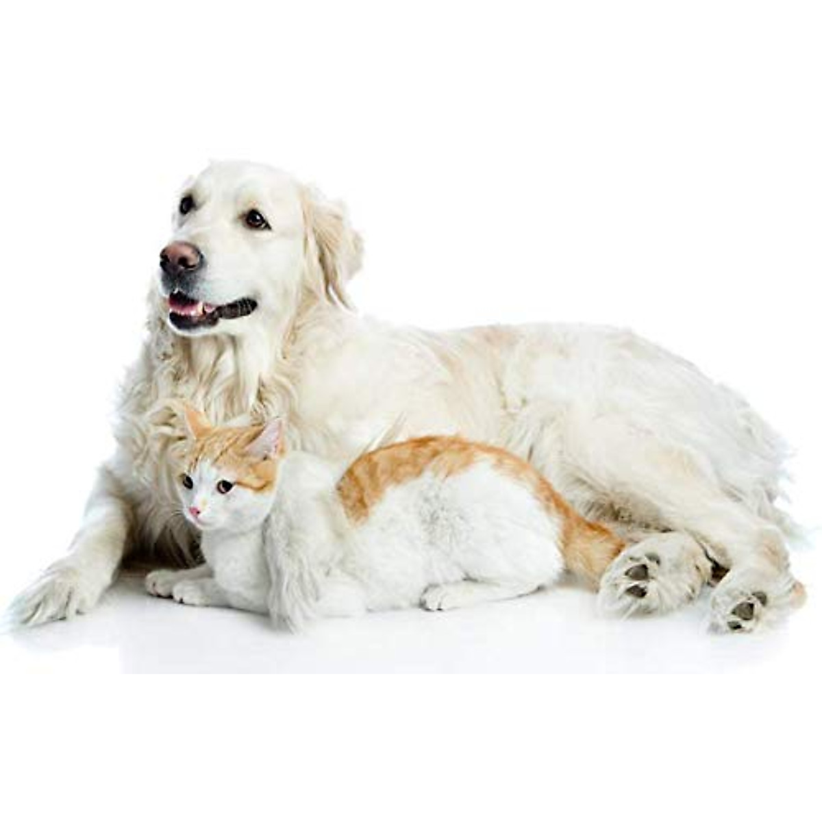 Dog Skin Care Supplements - PET Hair and Coat Health - for Dogs and Cats - Immune Booster - Itch and Hotspot Relief - Vitamin d for Dogs - 1 Bottle (60 Tabs)